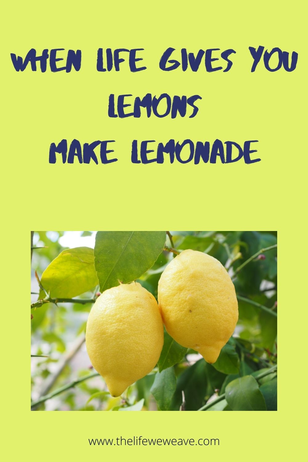 When Life Gives you Lemons/What are you going to do about it?